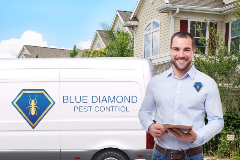 Logistics And Warehousing - Blue Diamond Pest Control